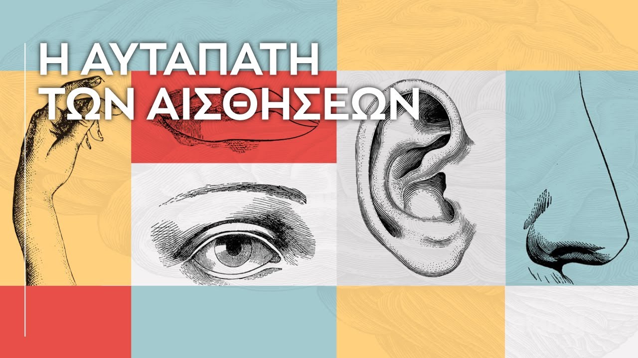 Η αυταπάτη των αισθήσεων | Science Show | Ηλικίες: 14+ - YouTube
