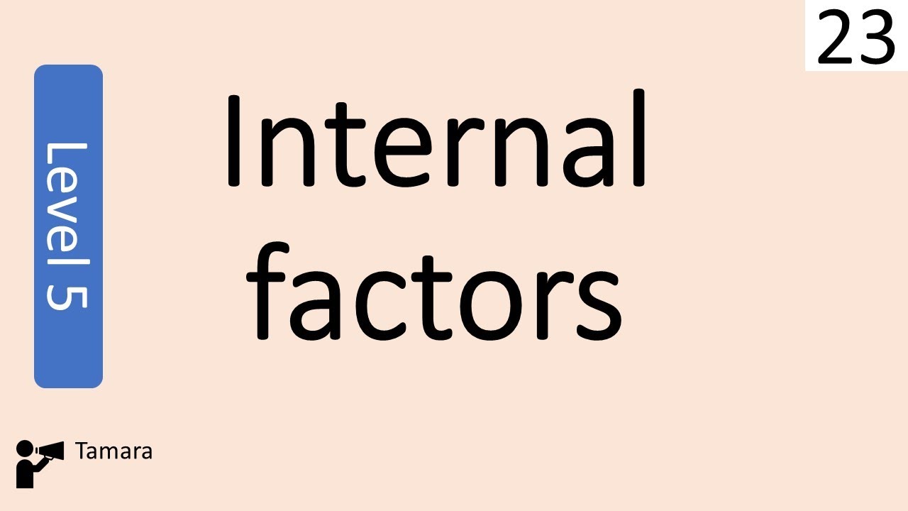 Internal Factors - Business management Level 5 - YouTube