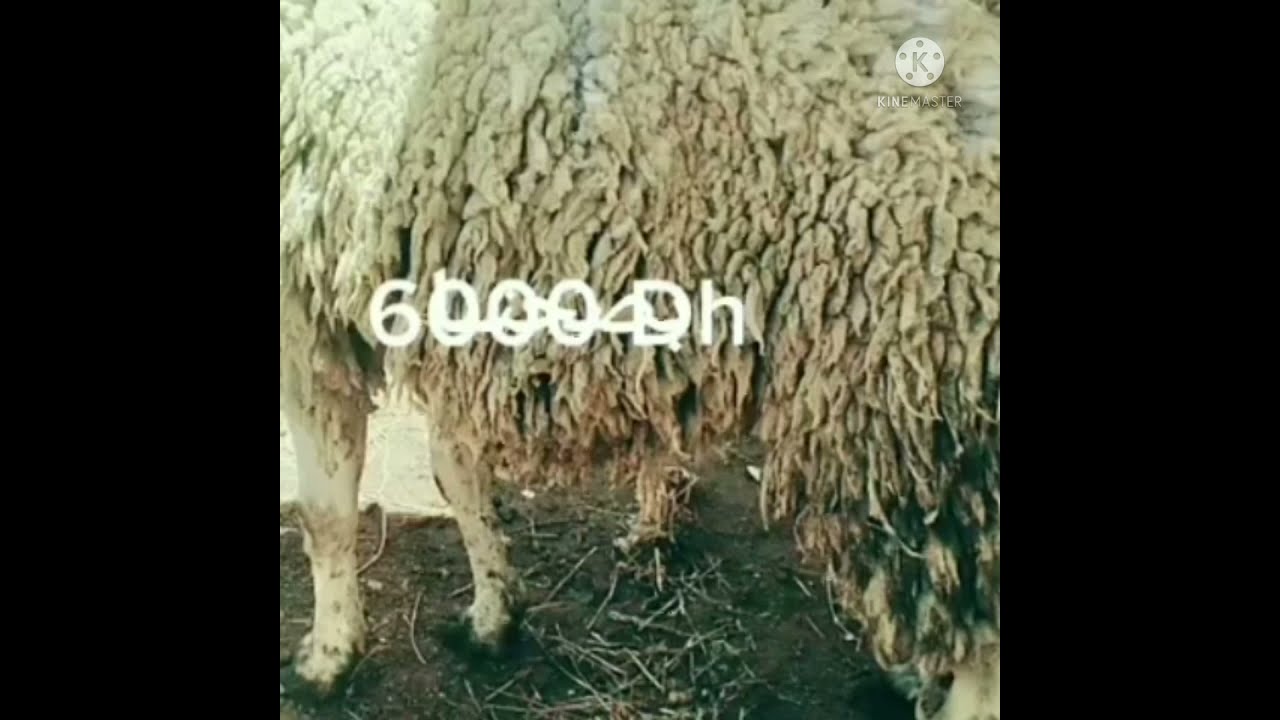 VANIZIA ROUIS 💕😘😭😀👍👍👍👍 - YouTube