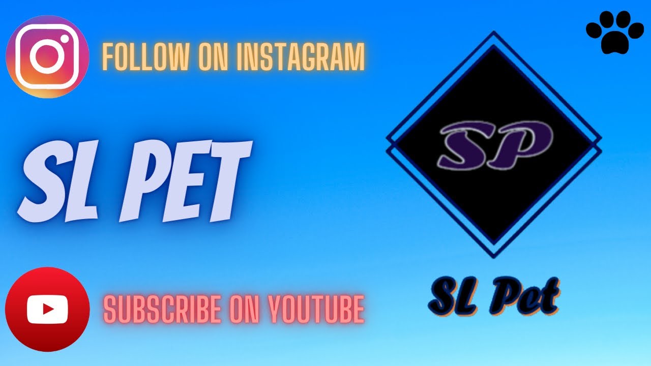 SL Pet හැදින්වීම. - YouTube