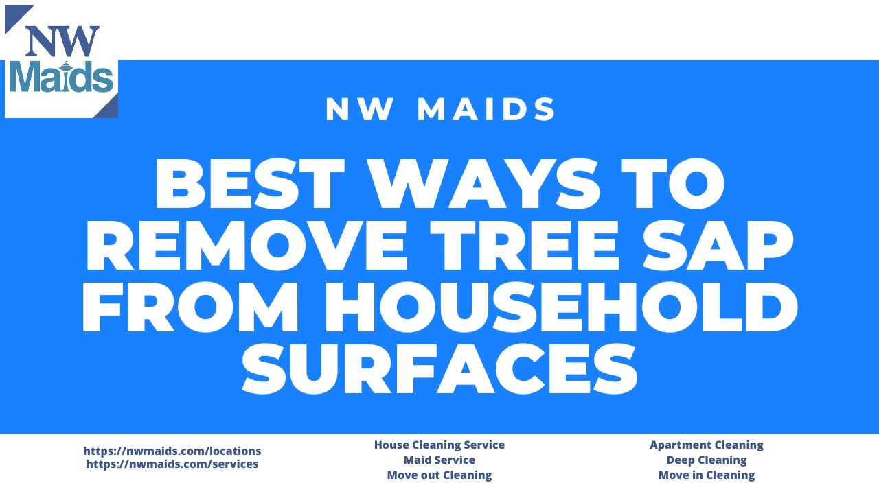NW Maids House Cleaning Service - Best Ways to Remove Tree Sap from ...