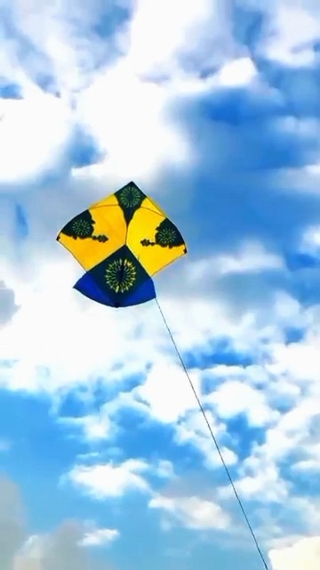 2025 New kite of king 🪁#shorts #kite #kitelover #kiteflying # ...