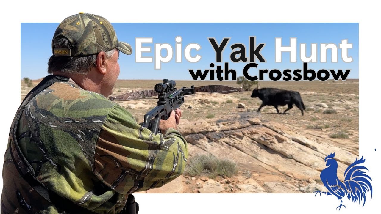 Giant Yak Hunt with a Crossbow on the Blue Rooster - YouTube