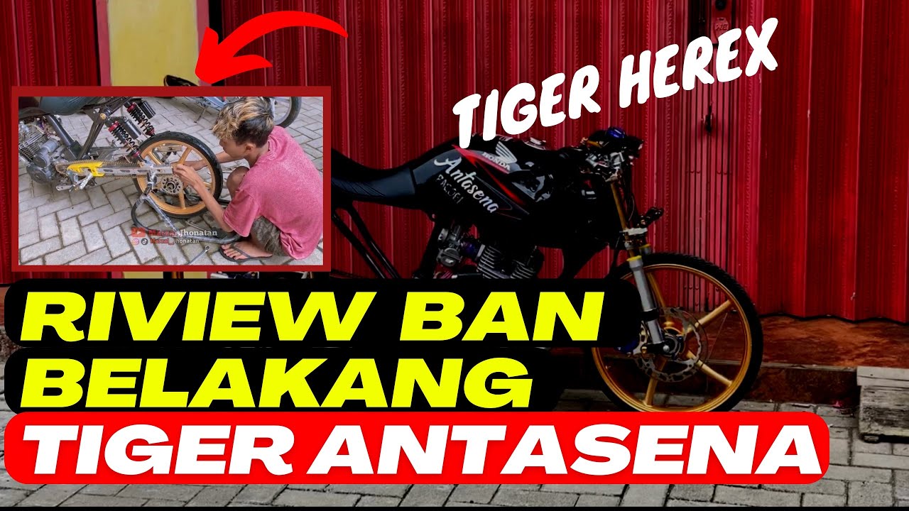 Herex..! Bongkar Ban Belakang Tiger Antasena ( Tiger Herex Antasena 🔥 ...