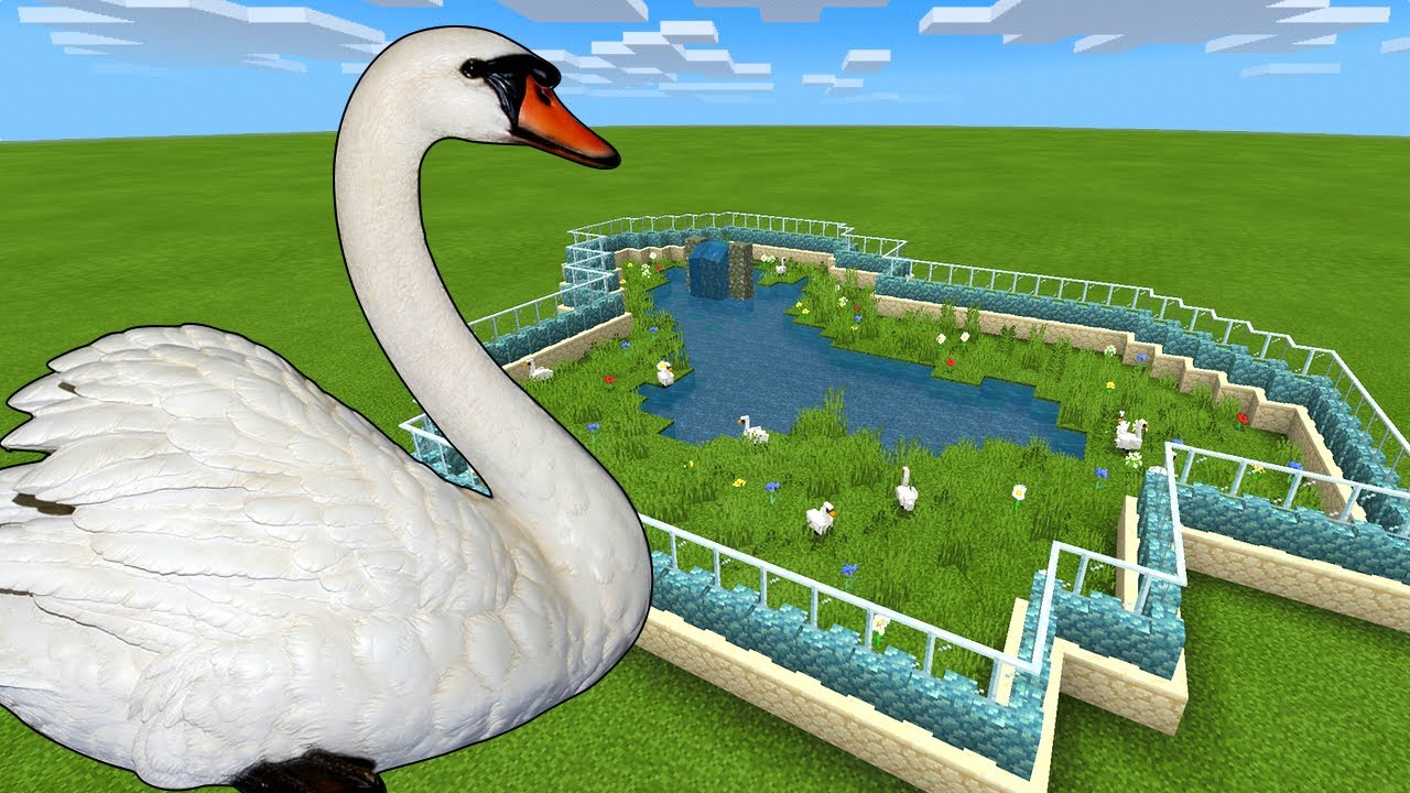 MCPE: How To Make a Swan Farm - YouTube