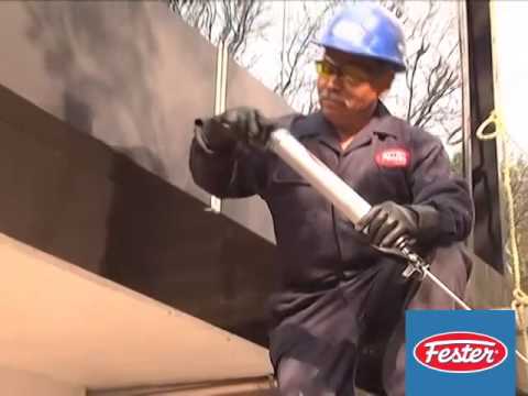 Fester Sista FT 201 Salchicha - YouTube