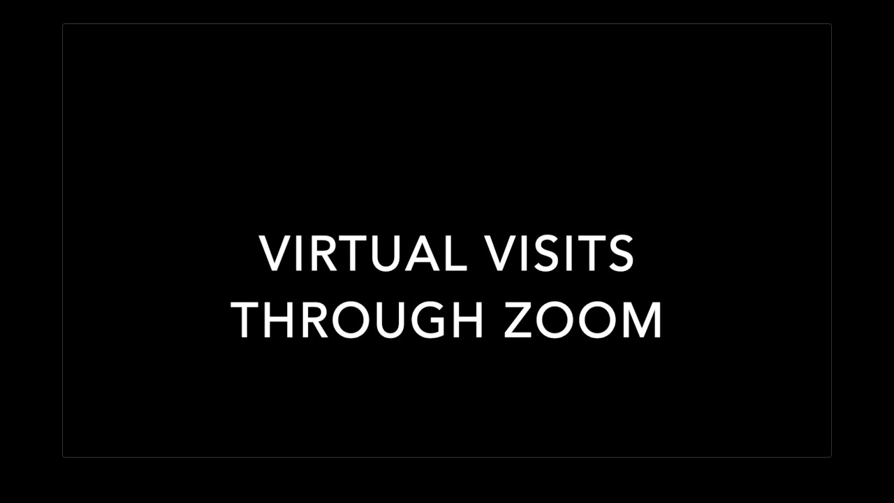 Virtual Visits Through Zoom - YouTube
