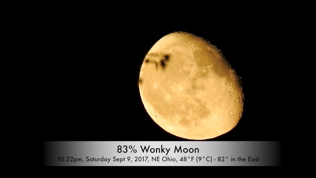 83% Wonky Moon & My Scaredy-Cat Cat Turns Courageous - YouTube