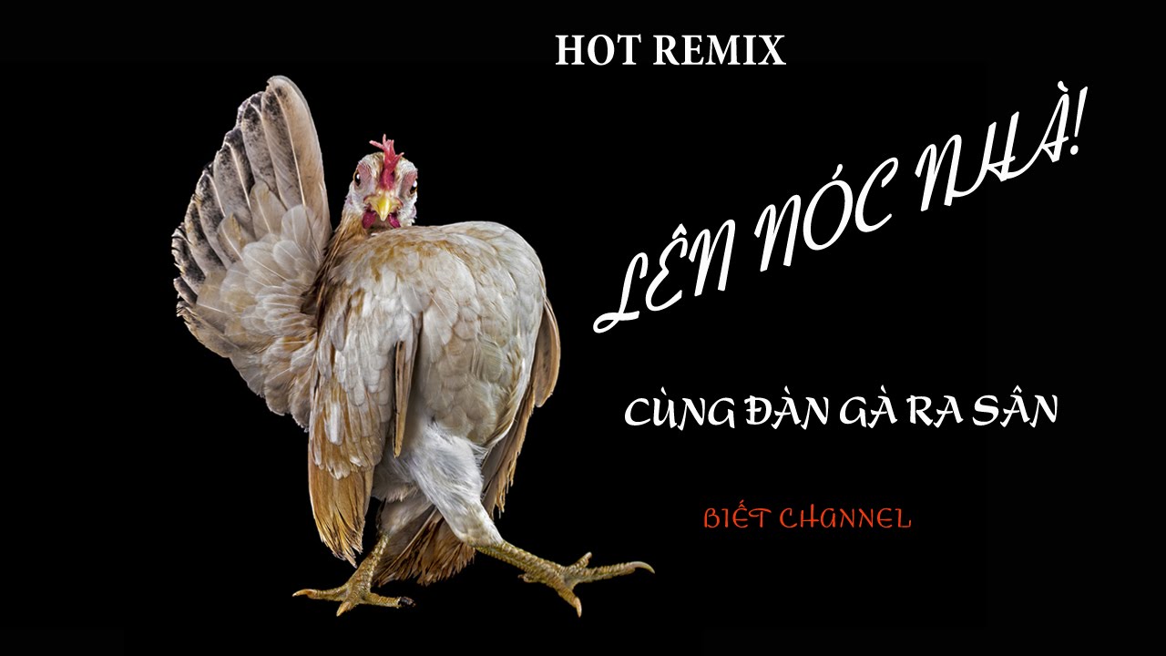 Remix Cực HOT " LÊN NÓC NHÀ BẮT CON GÀ CÙNG ĐÀN GÀ RA SÂN" | Official ...