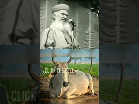 hujur ghazia Millat..|| hujur Hashmi miya - YouTube