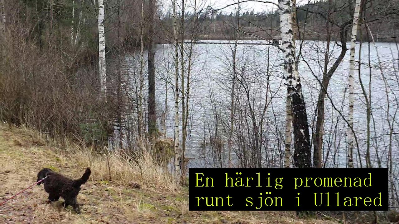 Ullared Del 2, vandringsleder runt sjön - YouTube