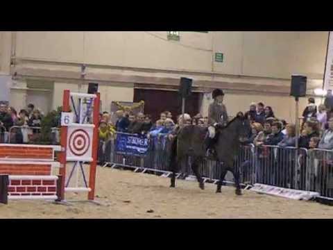 EMMA BISHOP RIDING POLLY AT SW EQUESTRIAN FAIR - YouTube