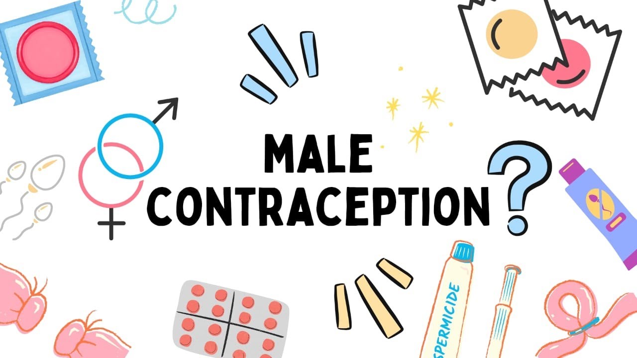 Male Contraception #mbbs #batch2023 #awareness - YouTube