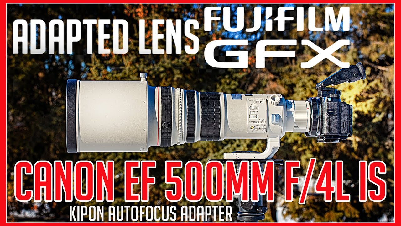 Adapted Lenses on the Fuji GFX- Canon EF 500mm f/4L IS USM - YouTube