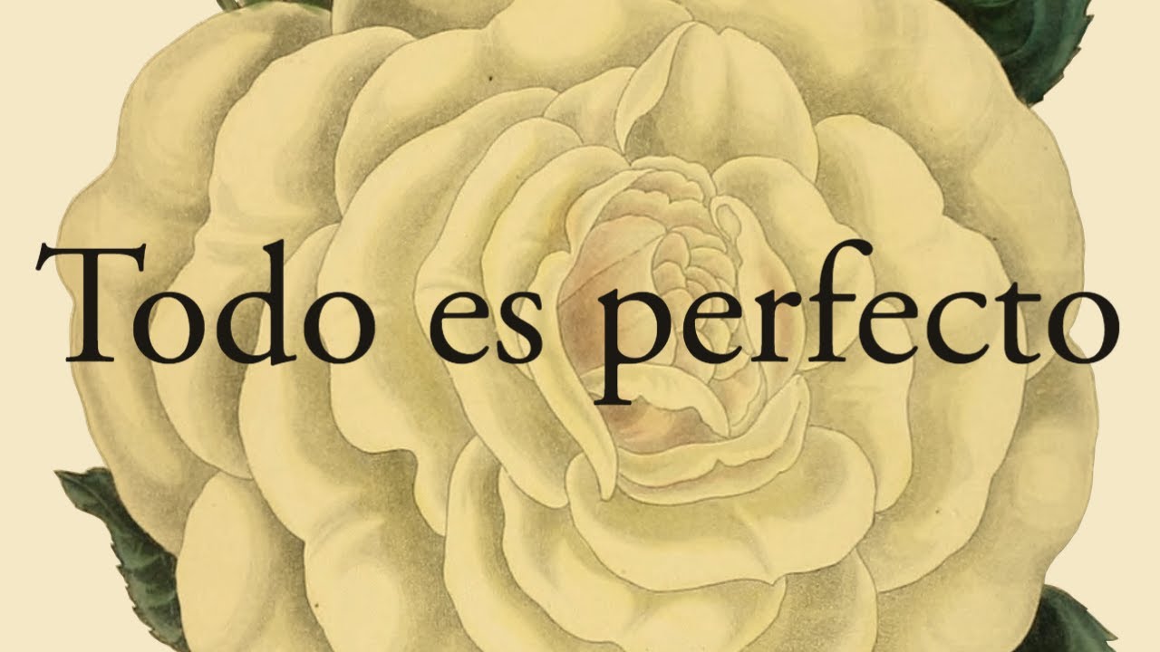 TODO ES PERFECTO - YouTube