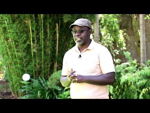 Kevin Okwara reveals what happened in Turbo in 2017 - YouTube