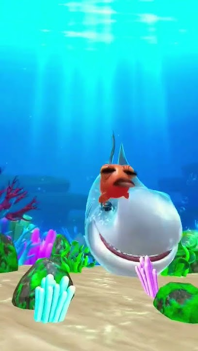 Fish race. The whale fish racing with small fish. #whale #fish #race # ...