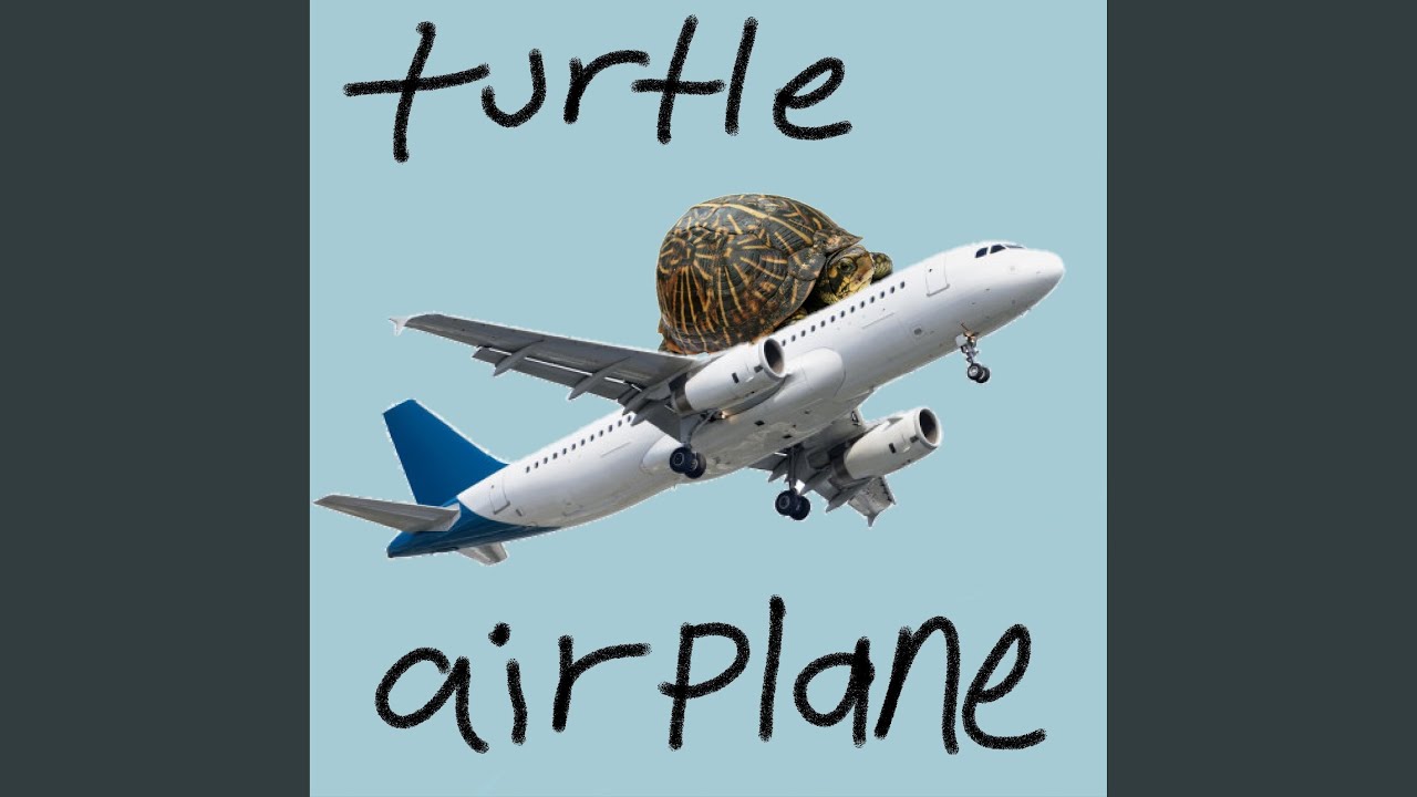Turtle Airplane - YouTube