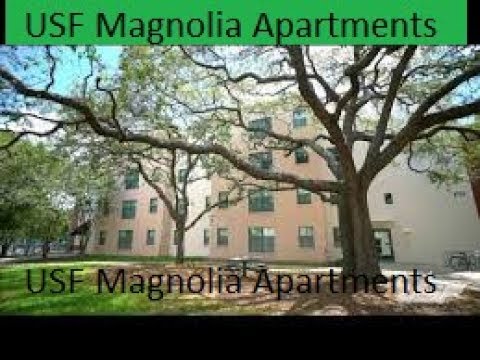 USF Magnolia Apartment Dorm Room Tour - YouTube
