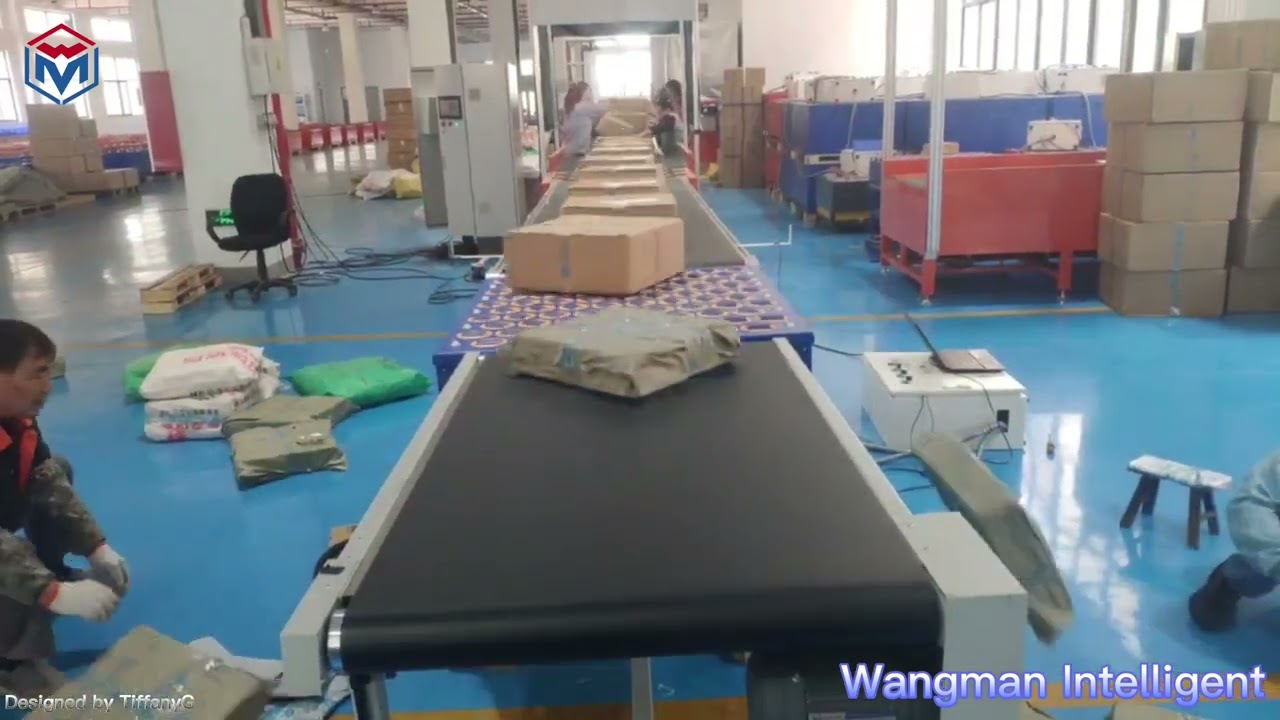 Wheel Sorter/Pivot Sorter/Wheel Diverter/Swivel Sorter/Roller Switch ...