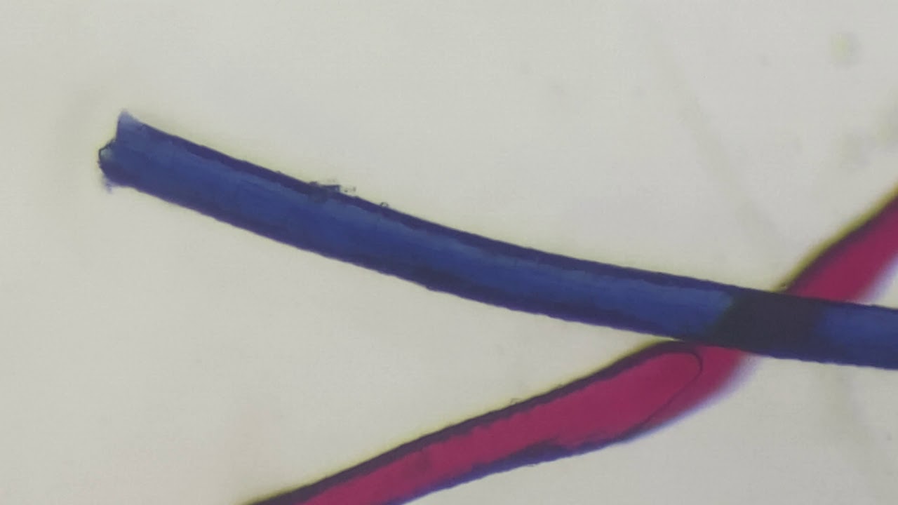 Wool 🐑 - Microscopic View | Tiny World - YouTube