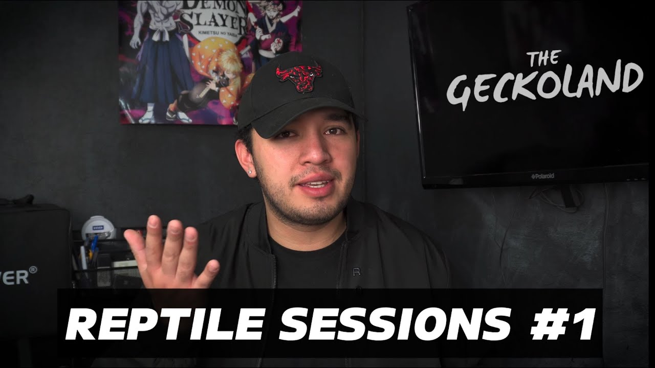 Reptile Sessions #1 TheGeckoland - YouTube