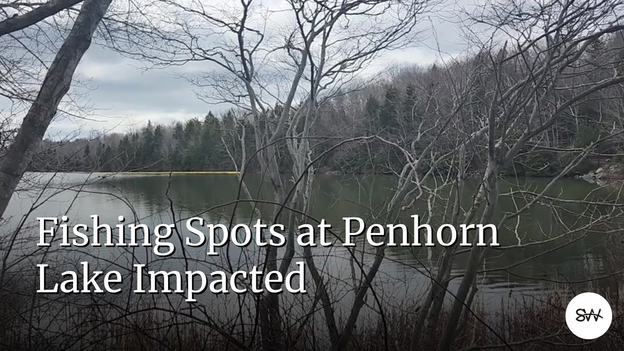 Fishing Spots at Penhorn Lake Impacted | SaltWire - YouTube