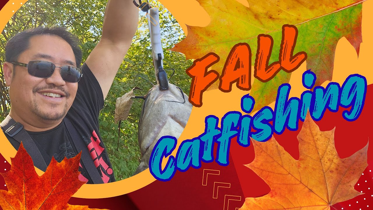Catch Early Fall Catfish on a Drop Shot - YouTube