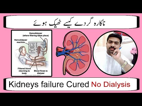Cured Chronic Kidneys Disease |CKD |No Dialysis|#ckdpatient #dialysis # ...