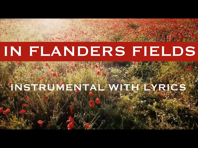 Flanders Field Poem Lyrics The Poppy: A Symbol Of Remembrance: Arizona