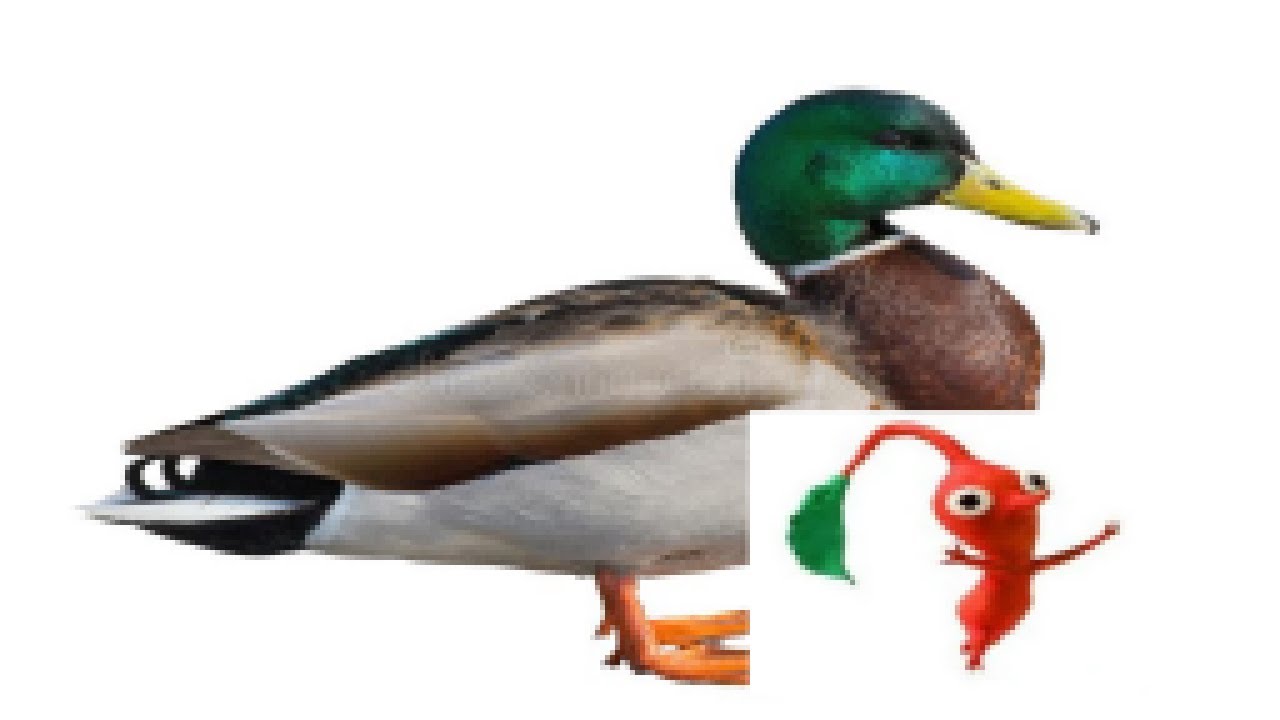 what if Duck were Pikmin?? - YouTube