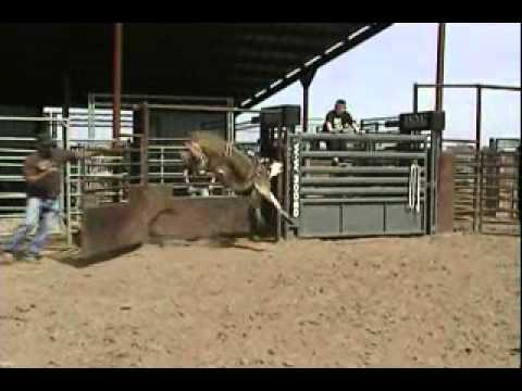 Pure Blend X Reindeer/Panhandle Slim - YouTube