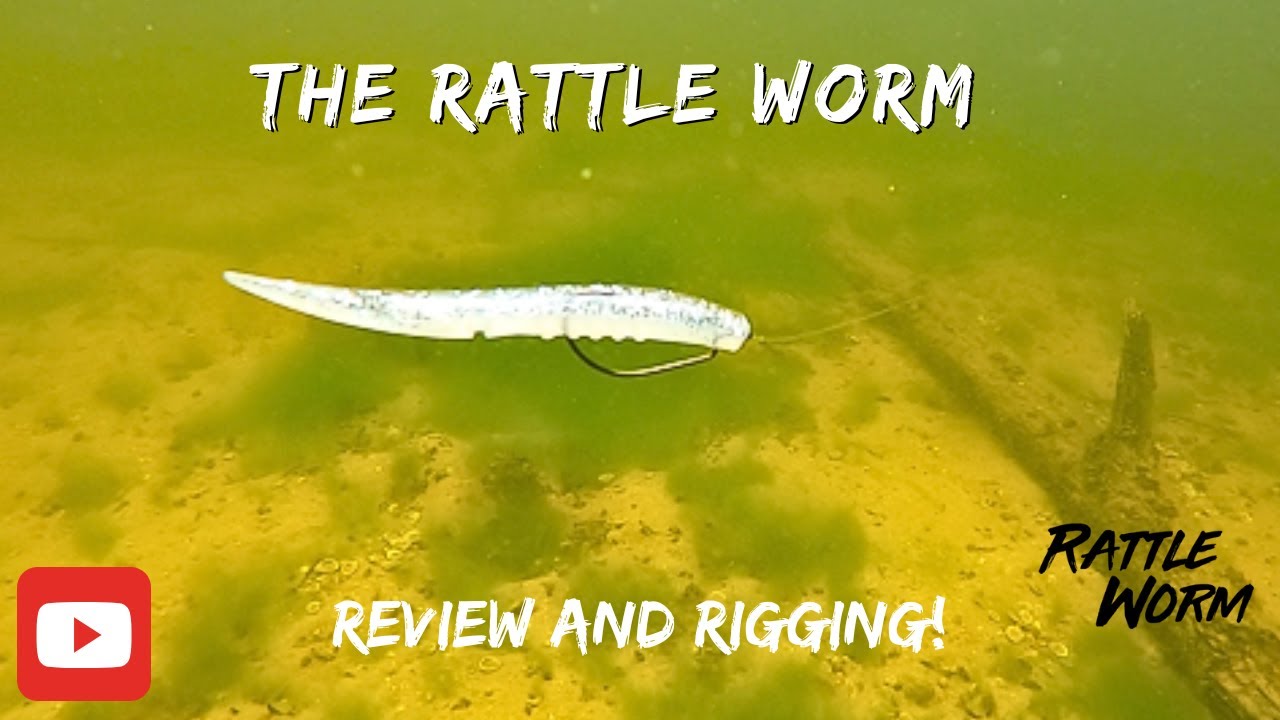 Soft Plastic bait Game Changer ! The Rattle Worm full bait review and ...
