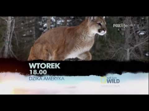 Fox Life HD Polska - Continuity - May 2012