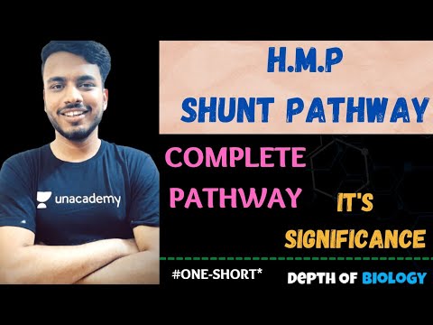 Hmp shunt pathway || pentose phosphate pathway || biochemistry || hmp ...