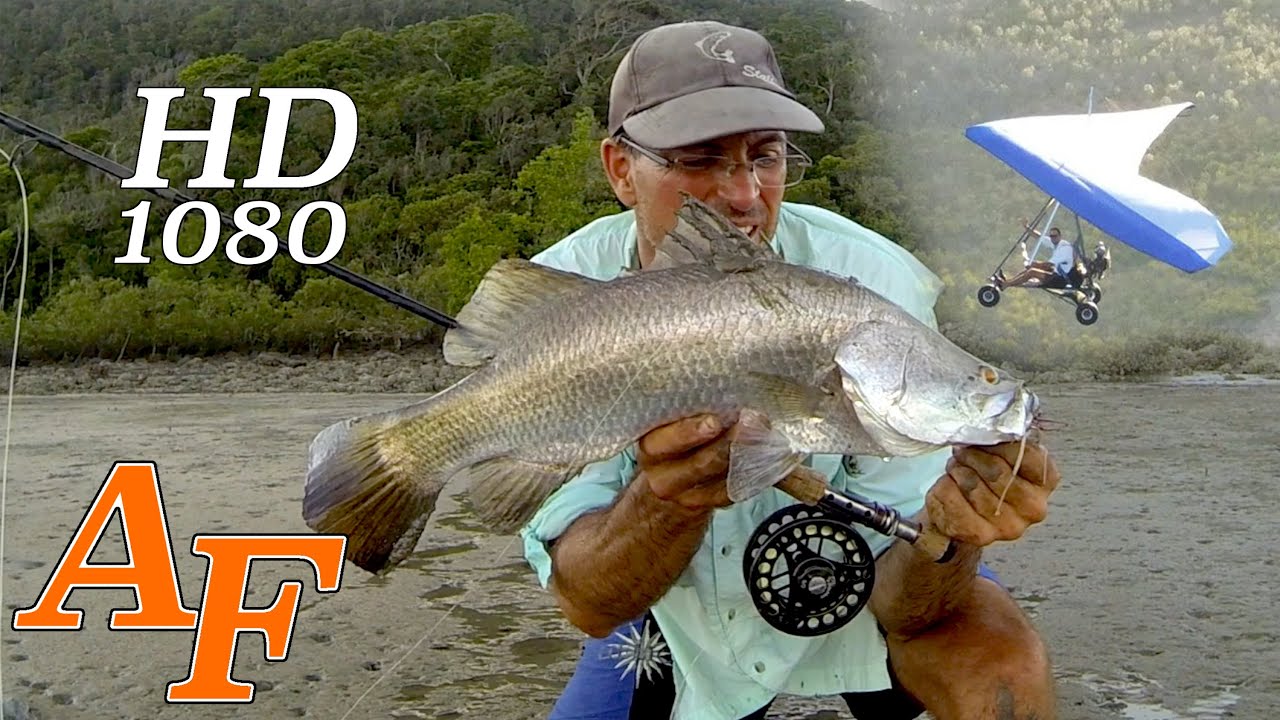 Flying & Fly Fishing Barramundi using Ultralight Aircraft Andysfishing ...