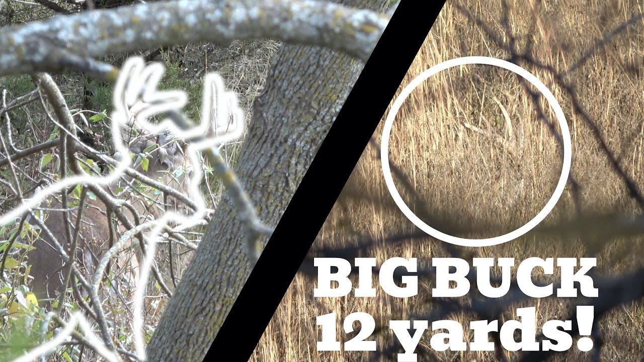 Missouri Bow Hunting: HUGE BUCK BEDDED!!! - YouTube