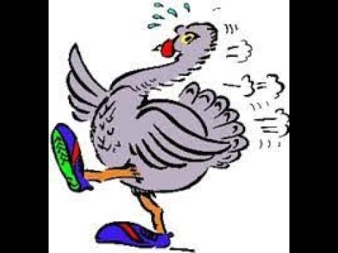 Turkey Trot and Long Eaton Christmas parkrun - YouTube