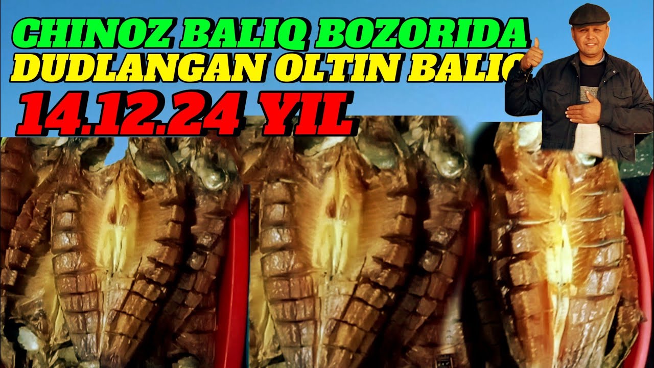 CHINOZ BALIQ BOZORIDA DUDLANGAN OLTIN BALIQ 🐟🐟🐟 🐠🐠🐠🐠🐠🐠🐠🐠 - YouTube