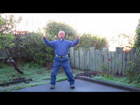 Wuji Gong - Basic Version - 1st Half