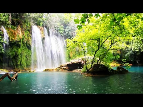 Merveilleuse chute d'eau, paradis, cascade relaxante/nature féerique, zen/relaxation/chant d'oiseaux