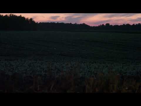 Where To See Fireflies On Ohio