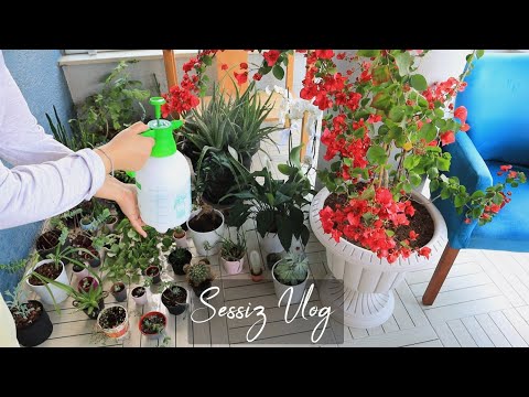 Balkon düzenim // Sessiz Vlog // balkonumda bahar temizliği // Part 02