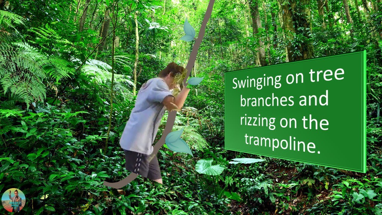 Swinging on tree branches, then rizzing up the camera on the trampoline ...