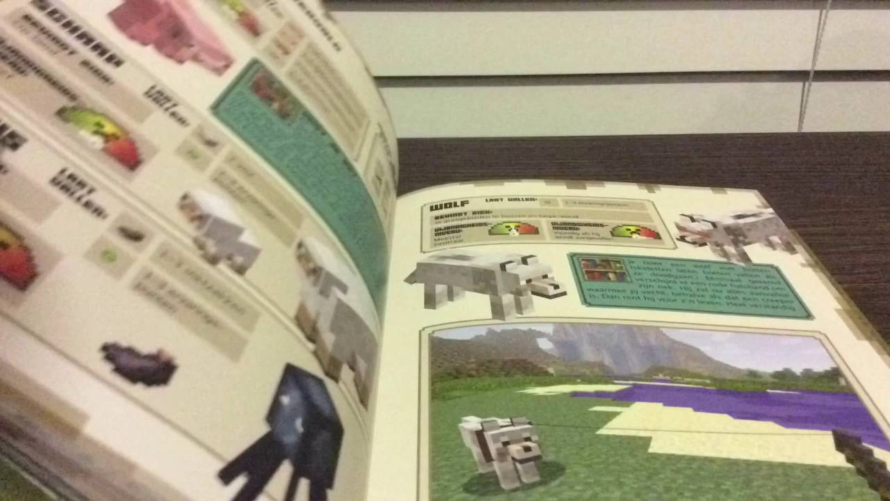 My Minecraft book (beginner) - YouTube