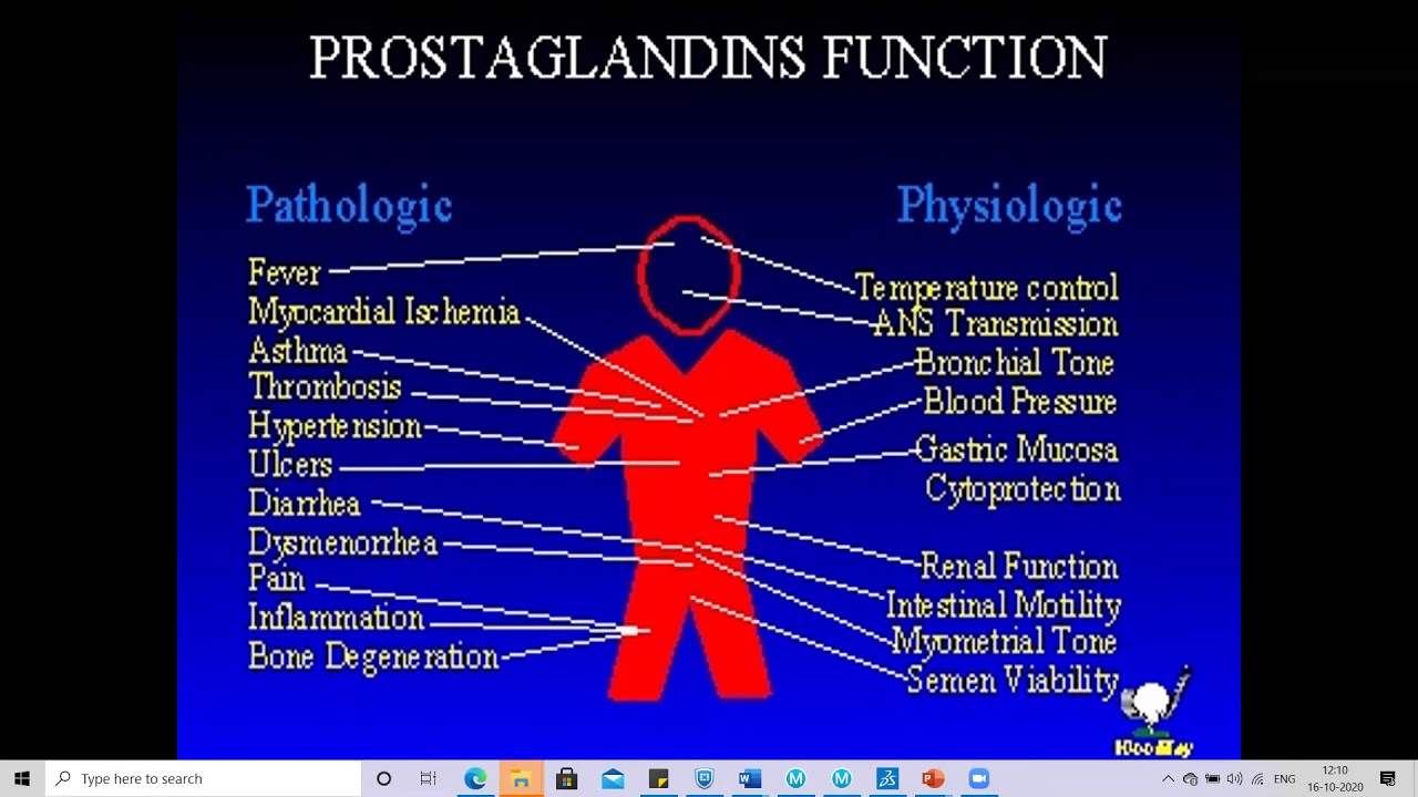 Prostaglandin Function - YouTube