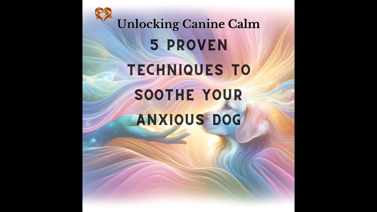 Unlocking Canine Calm 5 Proven Techniques to Soothe and Connect with ...