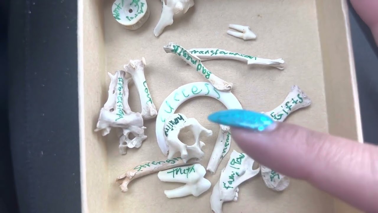 BONE 🦴 READING OSTEOMANCY 🔮🌙INTUITIVE CREATIVE 🎨 - YouTube