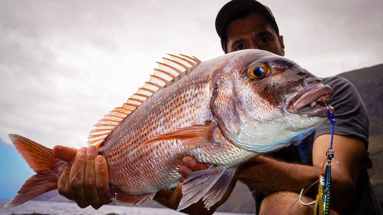 Un PAGRO magnifico!!! - YouTube