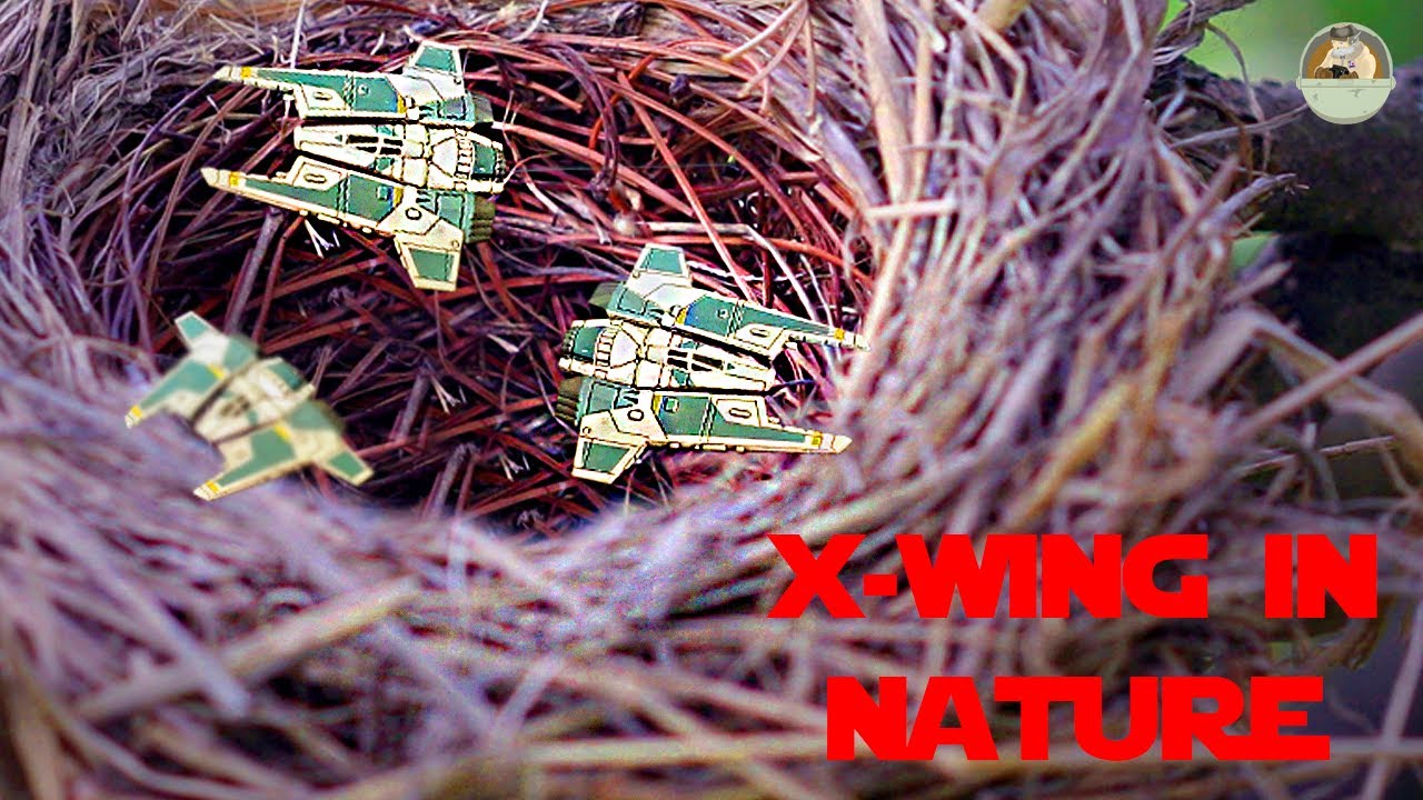 X Wing in Nature: The Gauntlet Fighter - YouTube